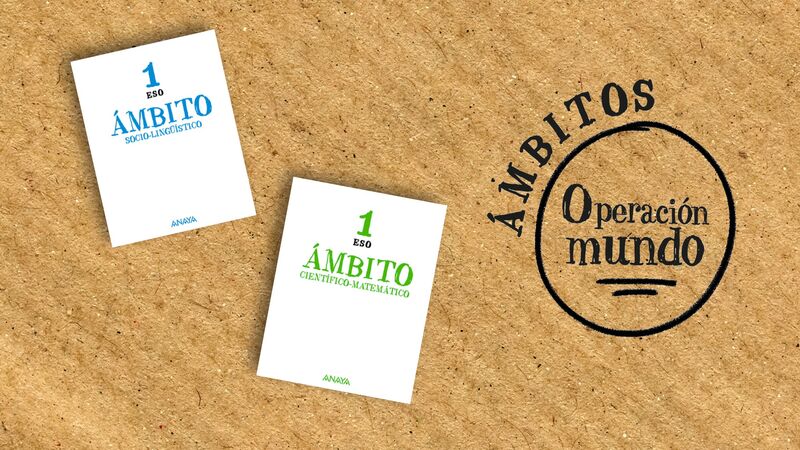 Los ámbitos como modelo de organización curricular